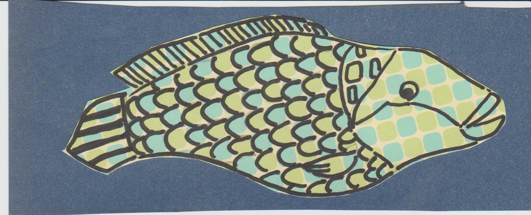 Humphead Wrasse Drawing