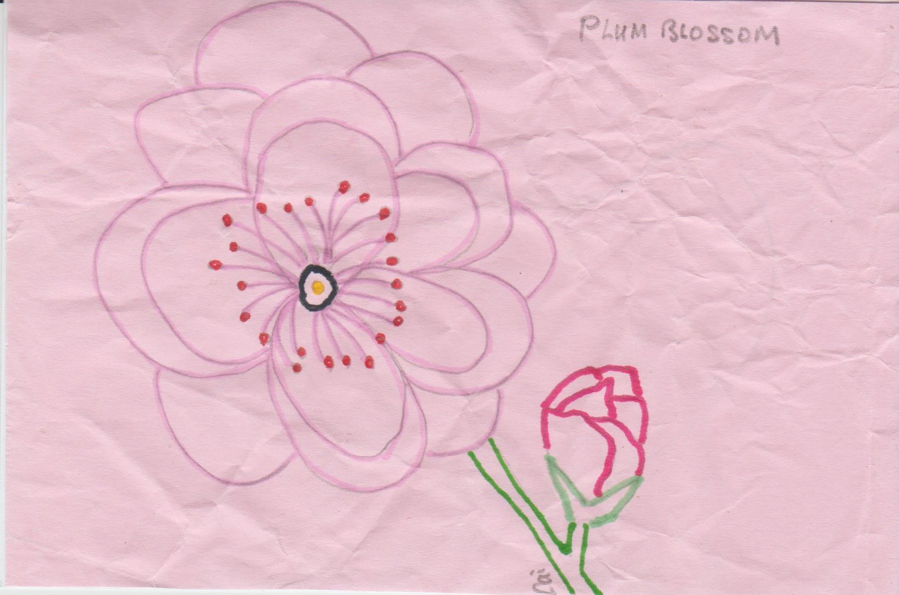 Meaning Of Dreaming Of Pink How To Interpret Dreams